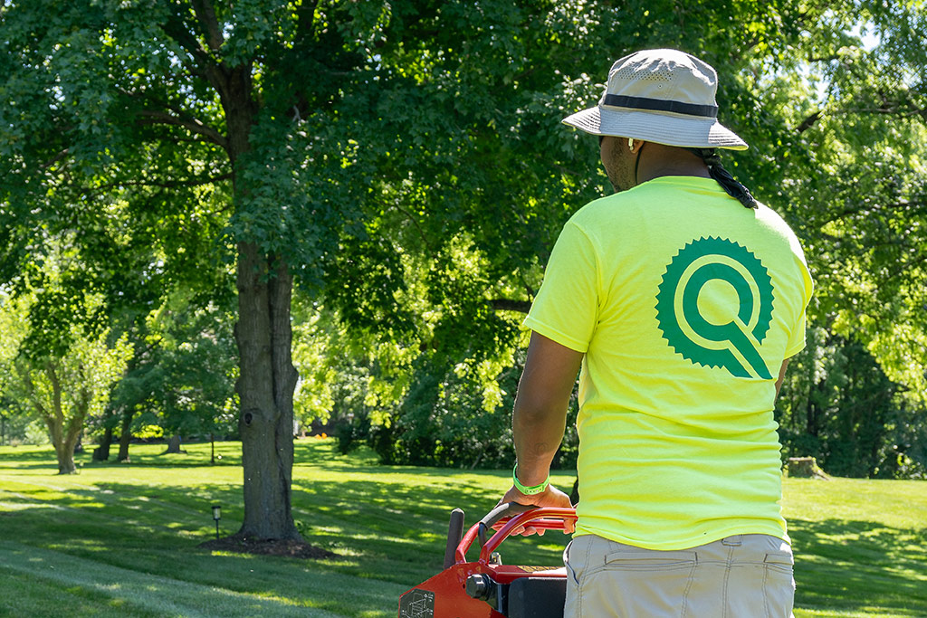 Residential Lawn Health Care | Cedar Rapids, Iowa | Quality Care